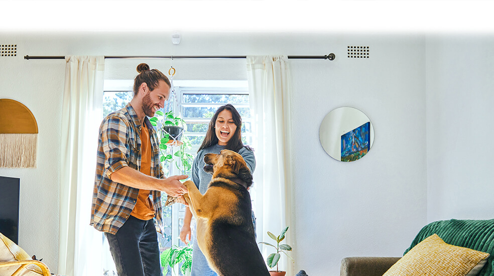 Home Loans, Mortgage Brokers | Go straight to Aussie